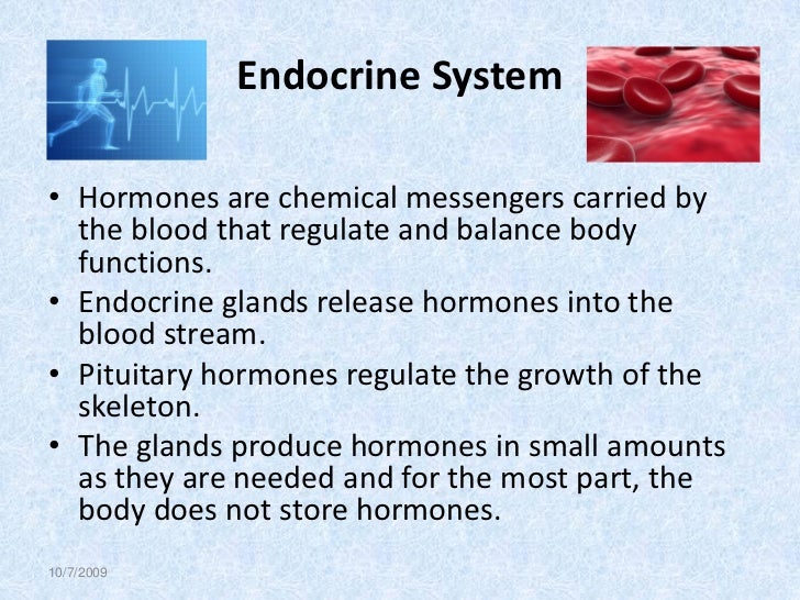 Endocrine System Function For Kids
