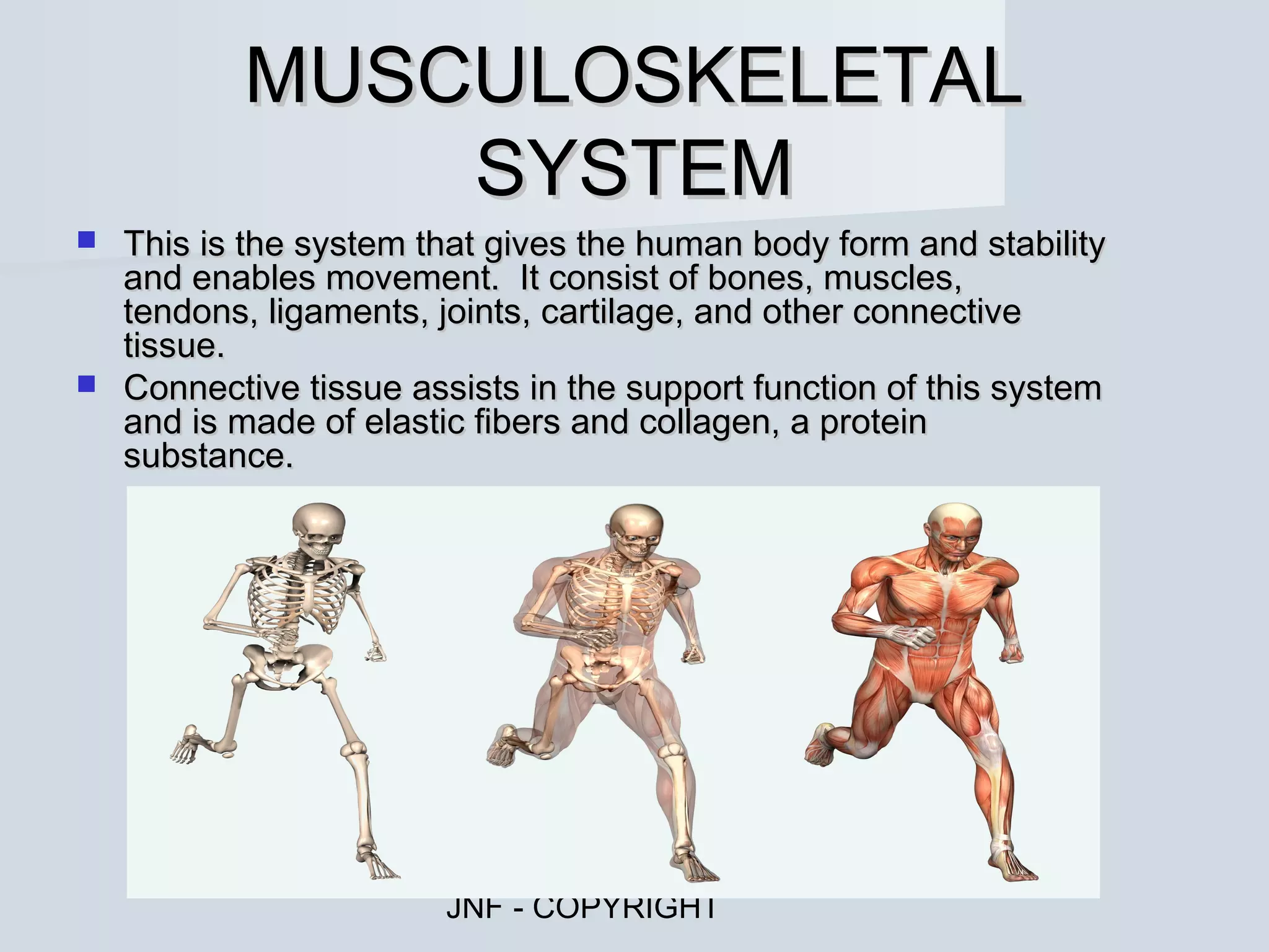 Human body systems & functions | PPT