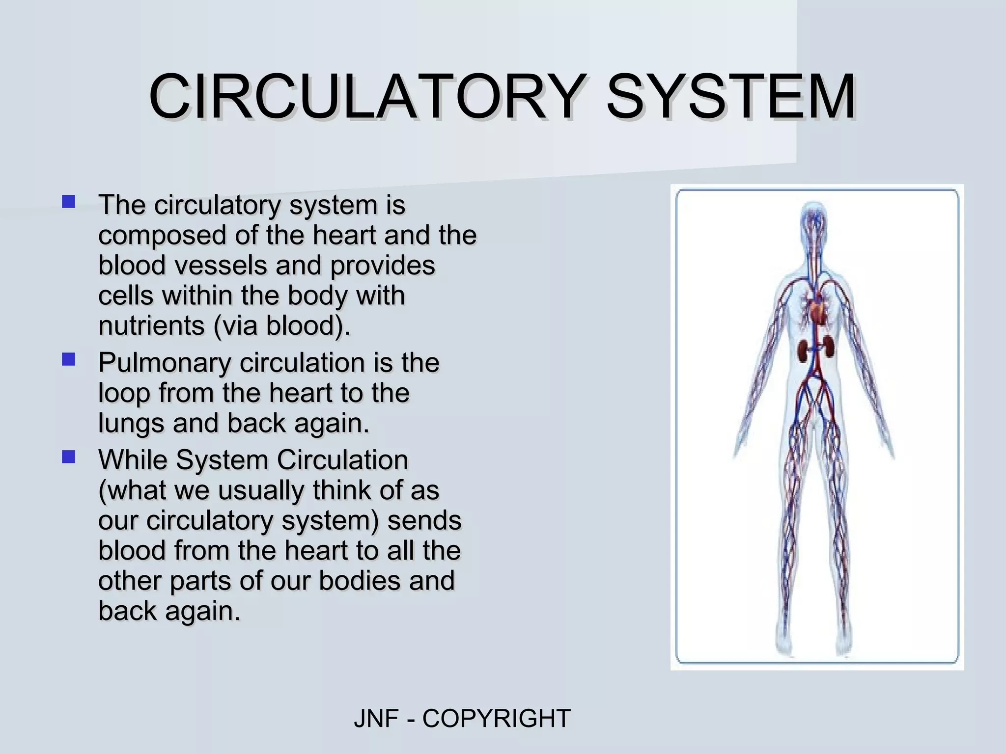 Human body systems & functions | PPT