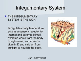 Human body systems & functions | PPT