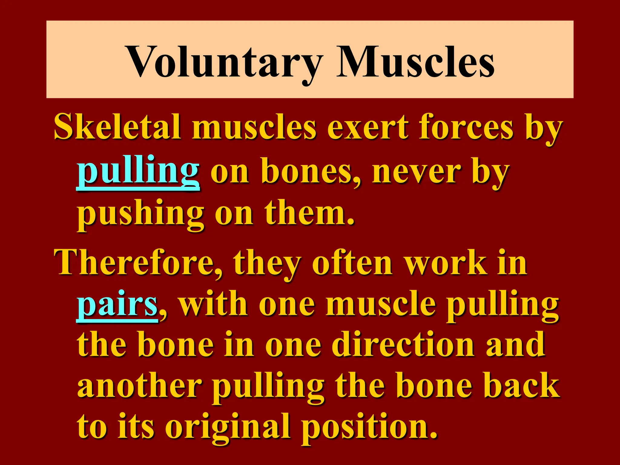 HumanBodySystemsPart2NotesPowerPoint-1.ppt