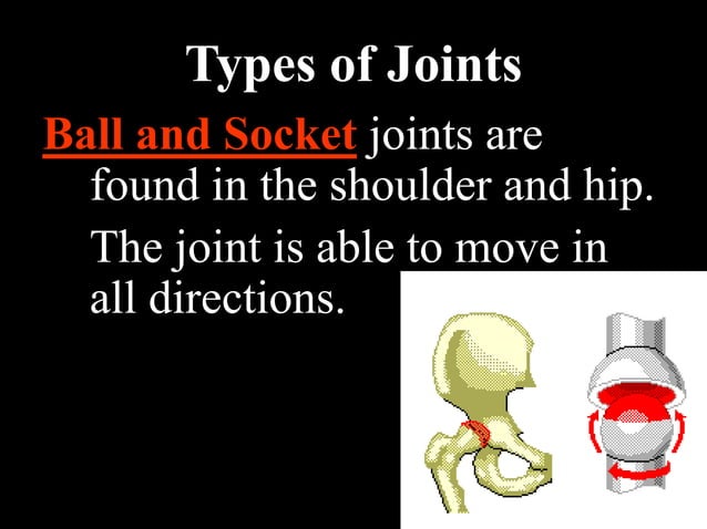 HumanBodySystemsPart2NotesPowerPoint-1.ppt