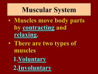 HumanBodySystemsPart2NotesPowerPoint-1.ppt