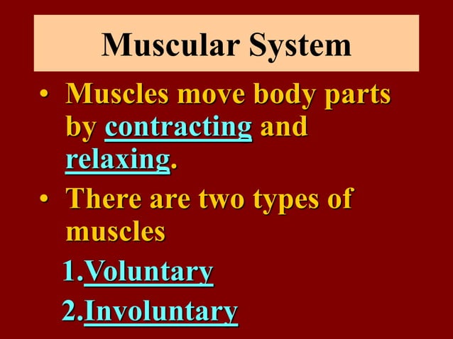 HumanBodySystemsPart2NotesPowerPoint-1.ppt