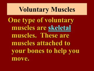 HumanBodySystemsPart2NotesPowerPoint-1.ppt