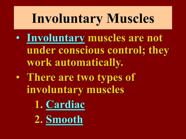 HumanBodySystemsPart2NotesPowerPoint-1.ppt