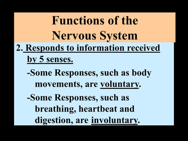 HumanBodySystemsPart2NotesPowerPoint-1.ppt