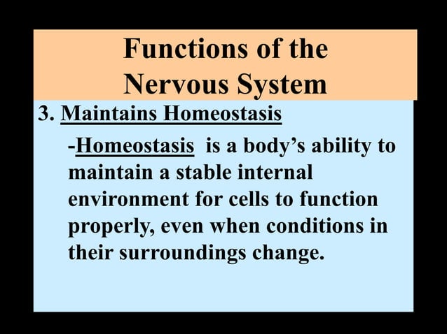 HumanBodySystemsPart2NotesPowerPoint-1.ppt