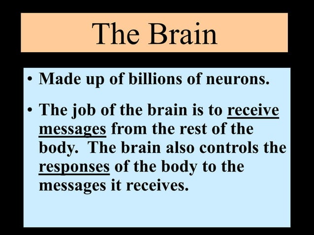 HumanBodySystemsPart2NotesPowerPoint-1.ppt