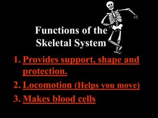 HumanBodySystemsPart2NotesPowerPoint-1.ppt