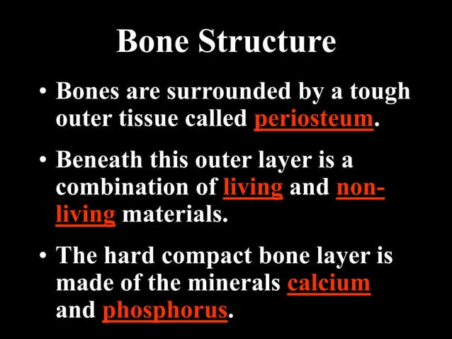 HumanBodySystemsPart2NotesPowerPoint-1.ppt