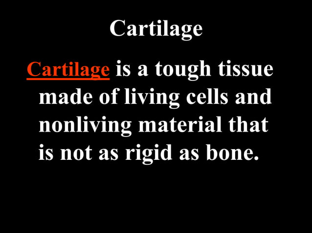 HumanBodySystemsPart2NotesPowerPoint-1.ppt