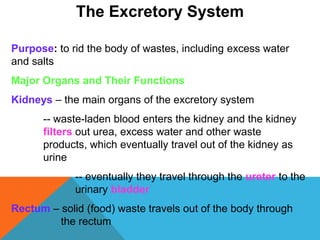 Human bodysystems powerpoint 2013 | PPTX