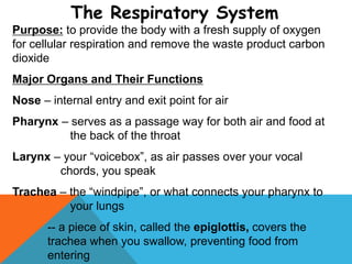 Human bodysystems powerpoint 2013 | PPTX | Lung and Respiratory Health ...