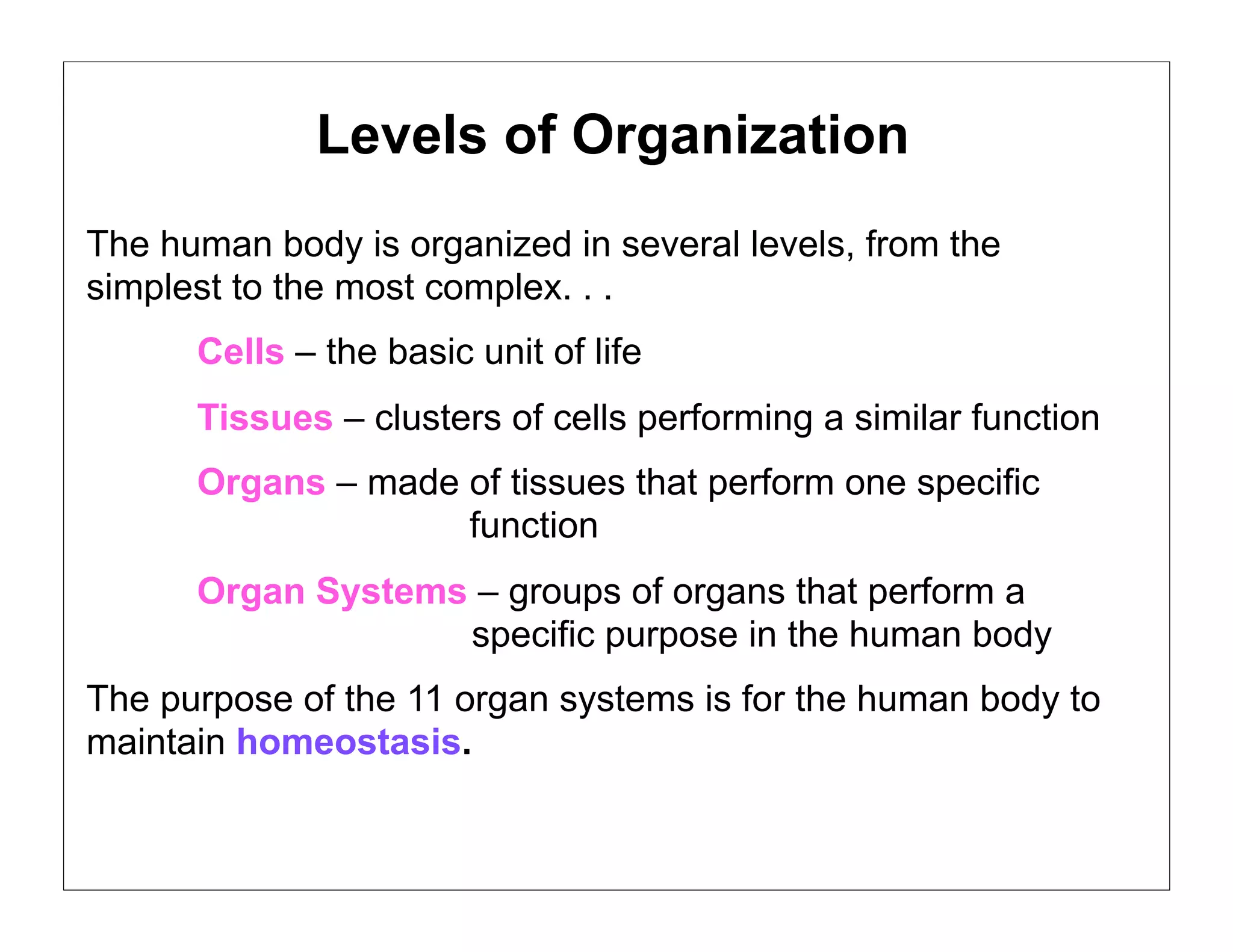 humanbodysystems_ppt.pdf