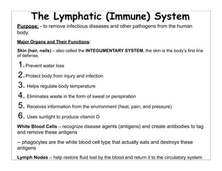 humanbodysystems_ppt.pdf