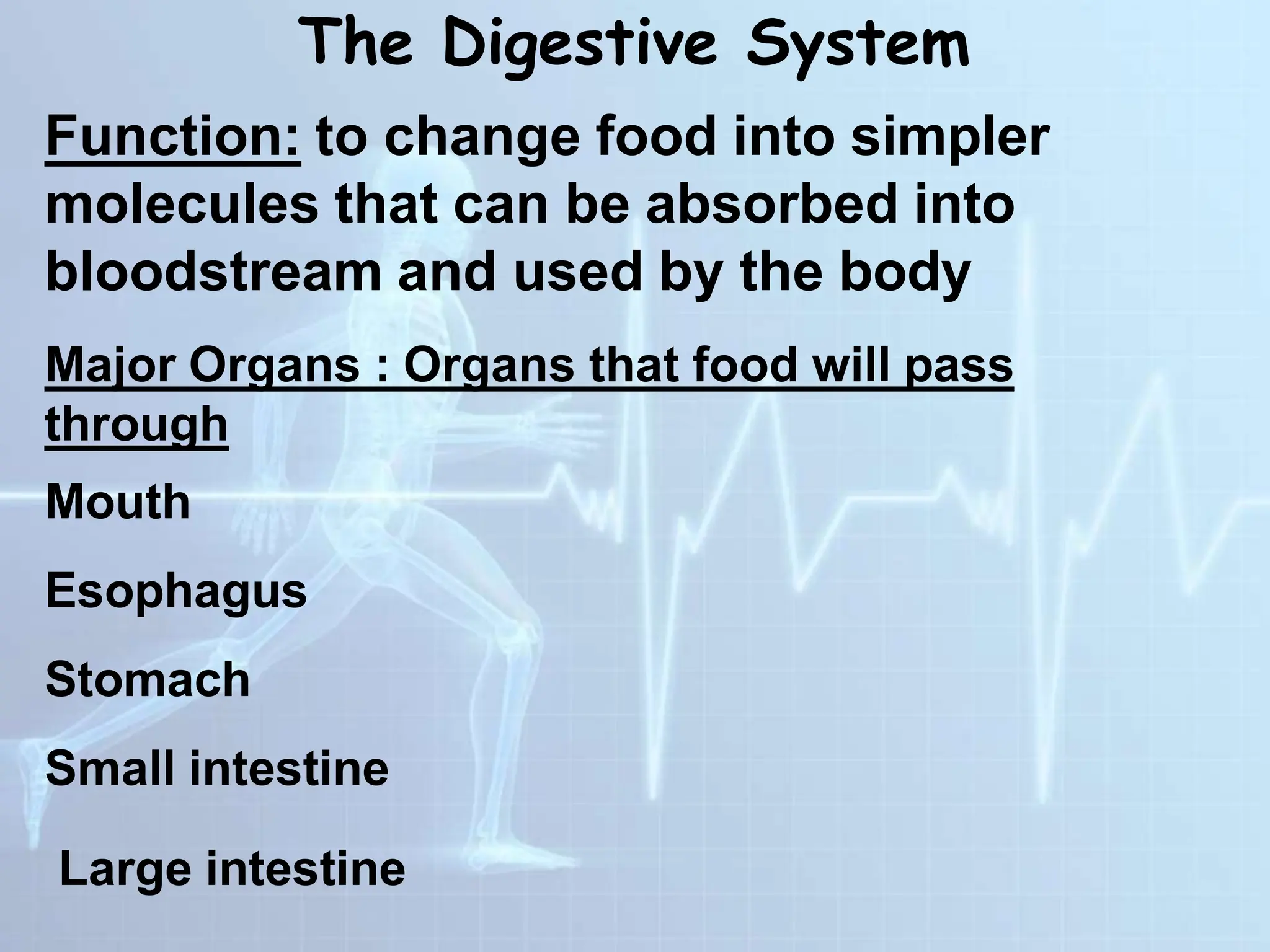 Human Body Systems types blood vessel mucles and glands | PPT