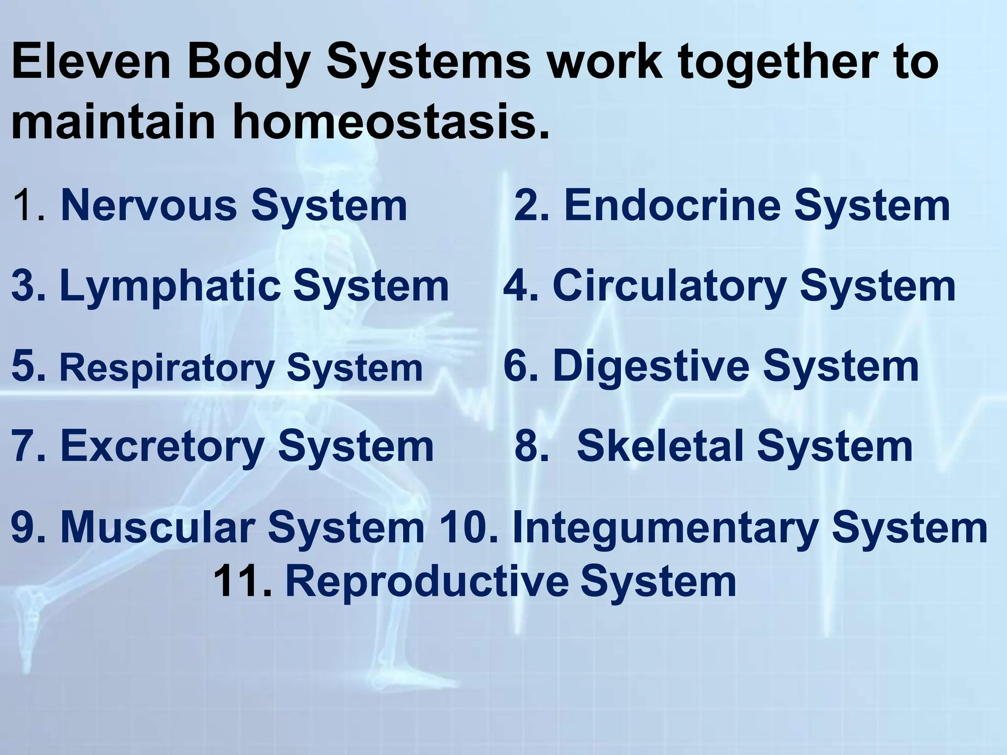 Human Body Systems types blood vessel mucles and glands | PPT