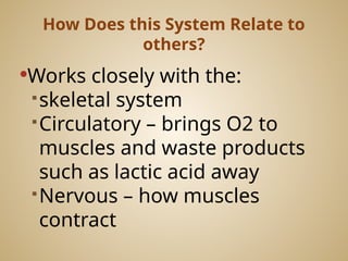 Human Body Systems and how did they work PPT.pptx
