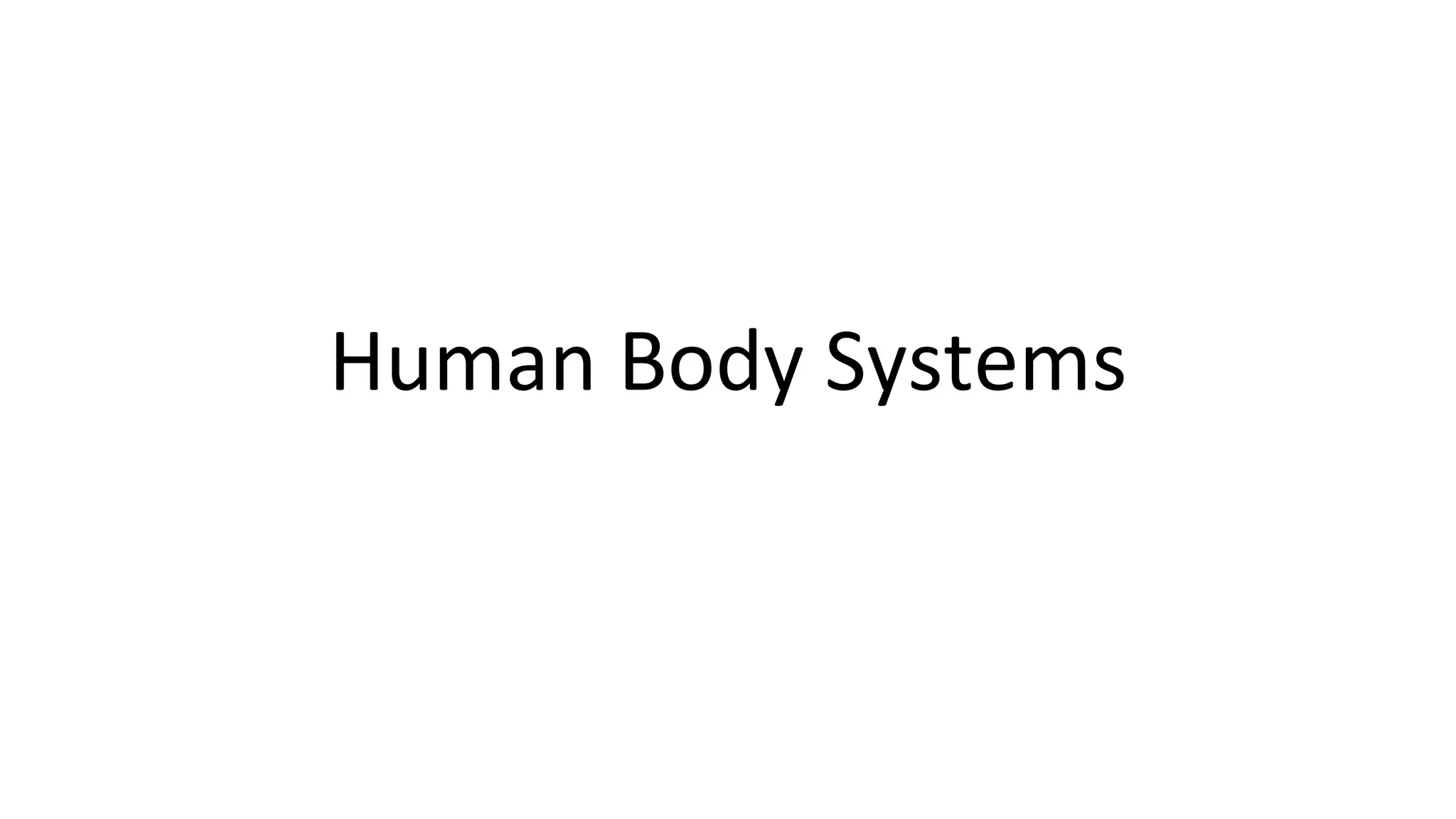 Human body systems | PPT