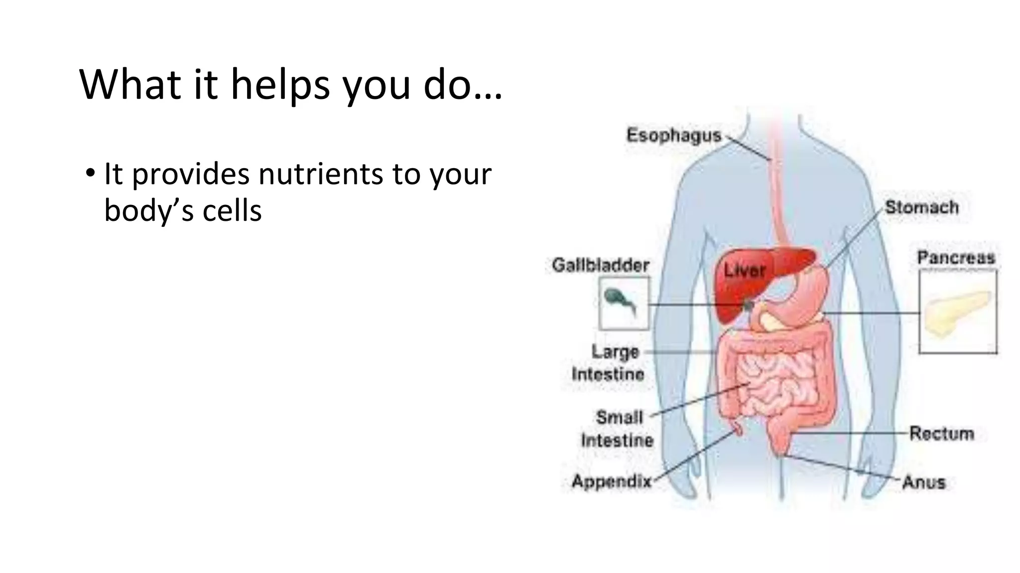 Human body systems | PPT