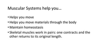 Human body systems | PPT