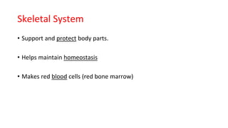 Human body systems | PPT