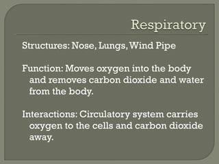 Human body systems review | PPT