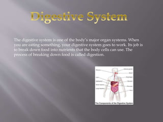 The Human Body System | PPT