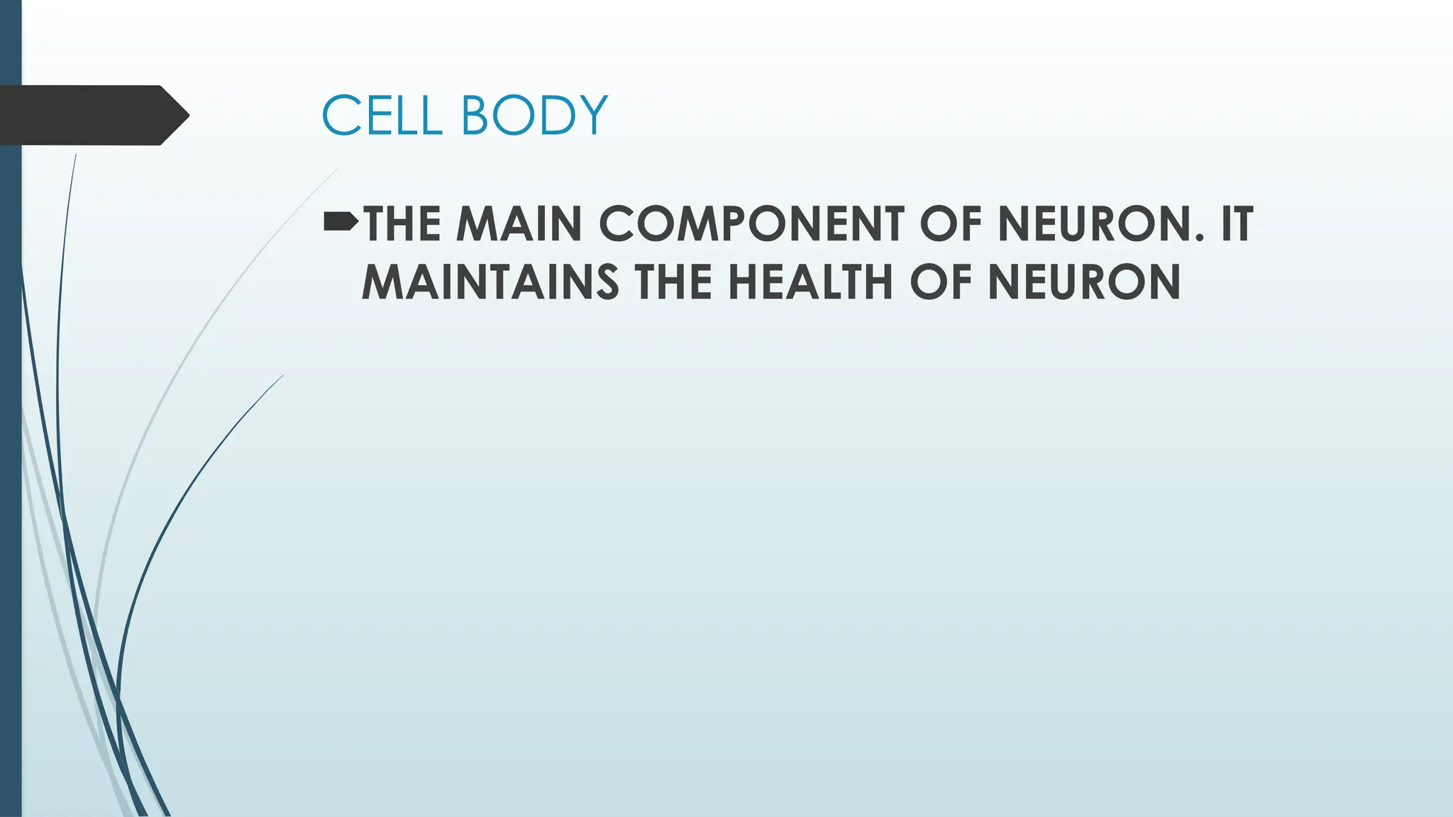 Human and its body systems part one of three | PPTX