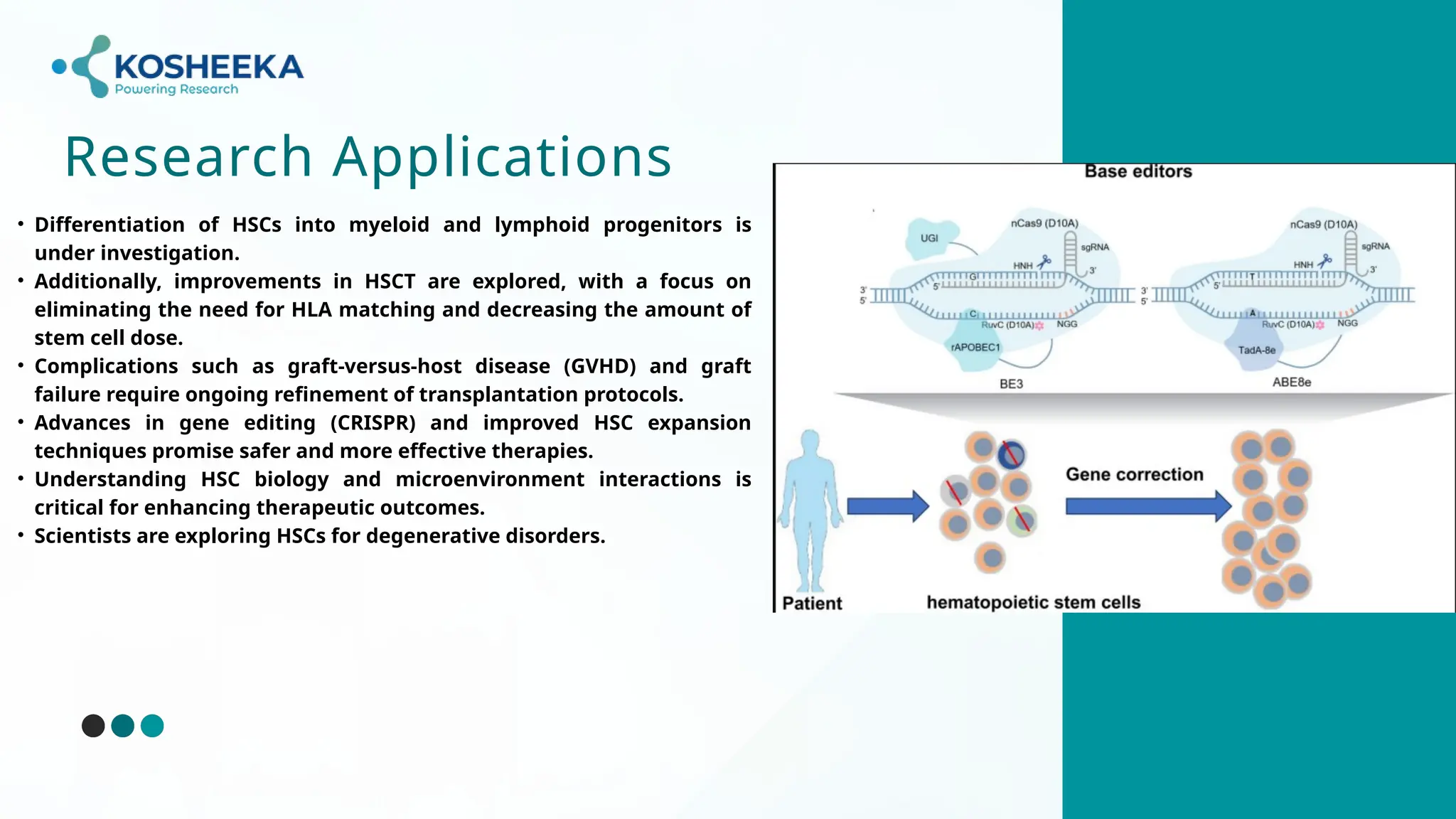 Human Bone Marrow-derived Hematopoietic Stem Cells in Therapy and ...