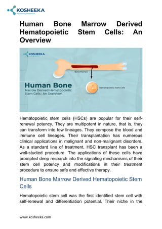 Human Bone Marrow Derived Hematopoietic Stem Cells: An Overview | PDF