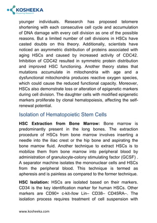 Human Bone Marrow Derived Hematopoietic Stem Cells: An Overview | PDF