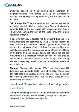 Human Bone Marrow Derived Hematopoietic Stem Cells: An Overview | PDF