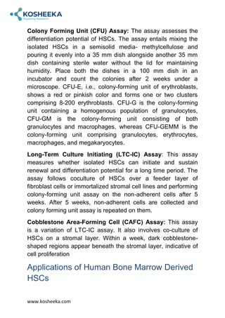 Human Bone Marrow Derived Hematopoietic Stem Cells: An Overview | PDF