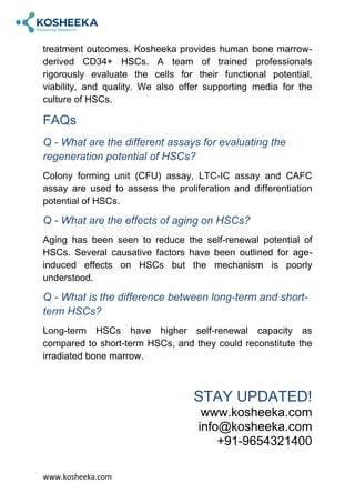 Human Bone Marrow Derived Hematopoietic Stem Cells: An Overview | PDF