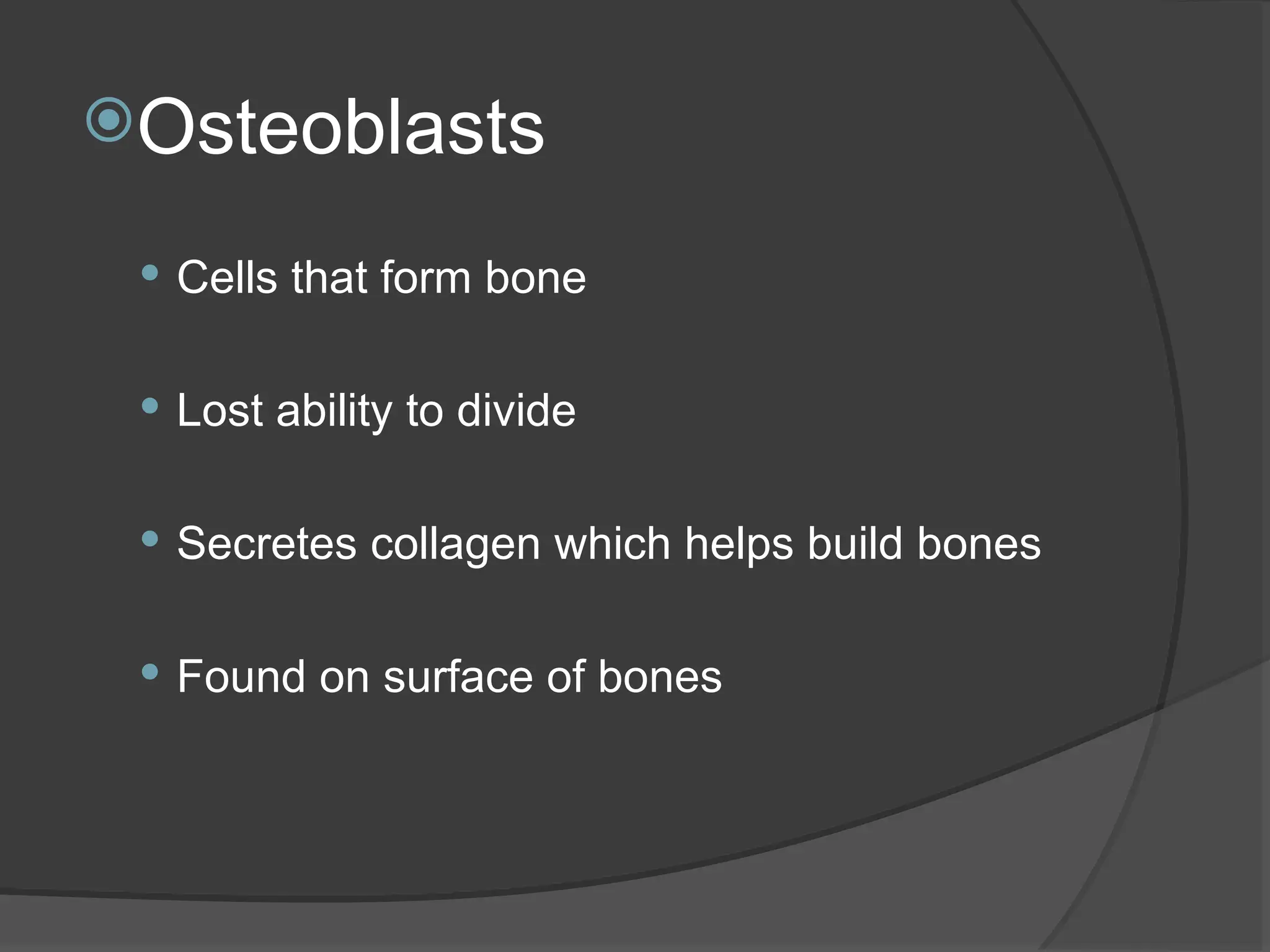 Human Bones with detail explaination.ppt
