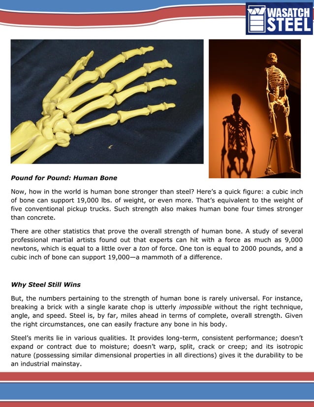 Human Bones vs. Steel: Testing the Myth | PDF | Bone and Joint ...