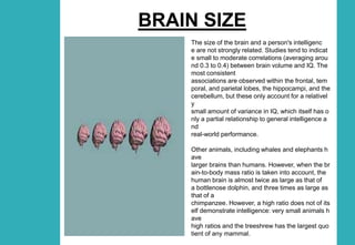 Human brain | PPTX