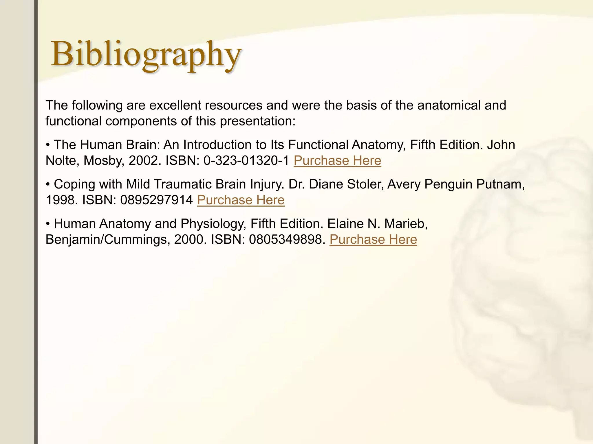 human brain.ppt