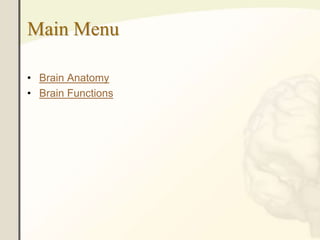 human brain.ppt