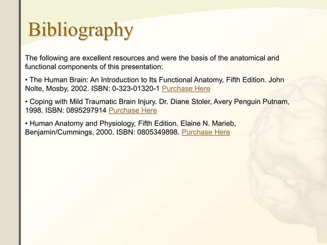 human brain.ppt