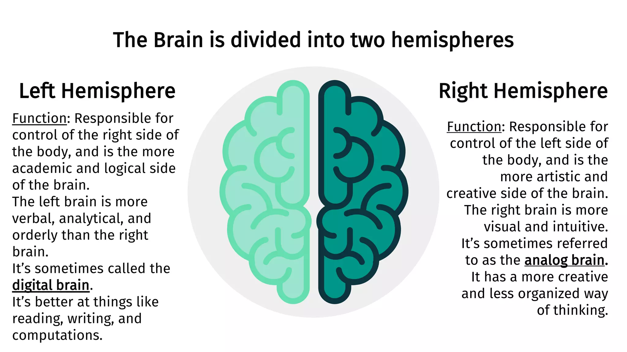 Human brain understanding the complex structure | PPTX | Brain and Nervous System Disorders ...
