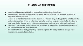 Human brain understanding the complex structure | PPTX | Brain and ...