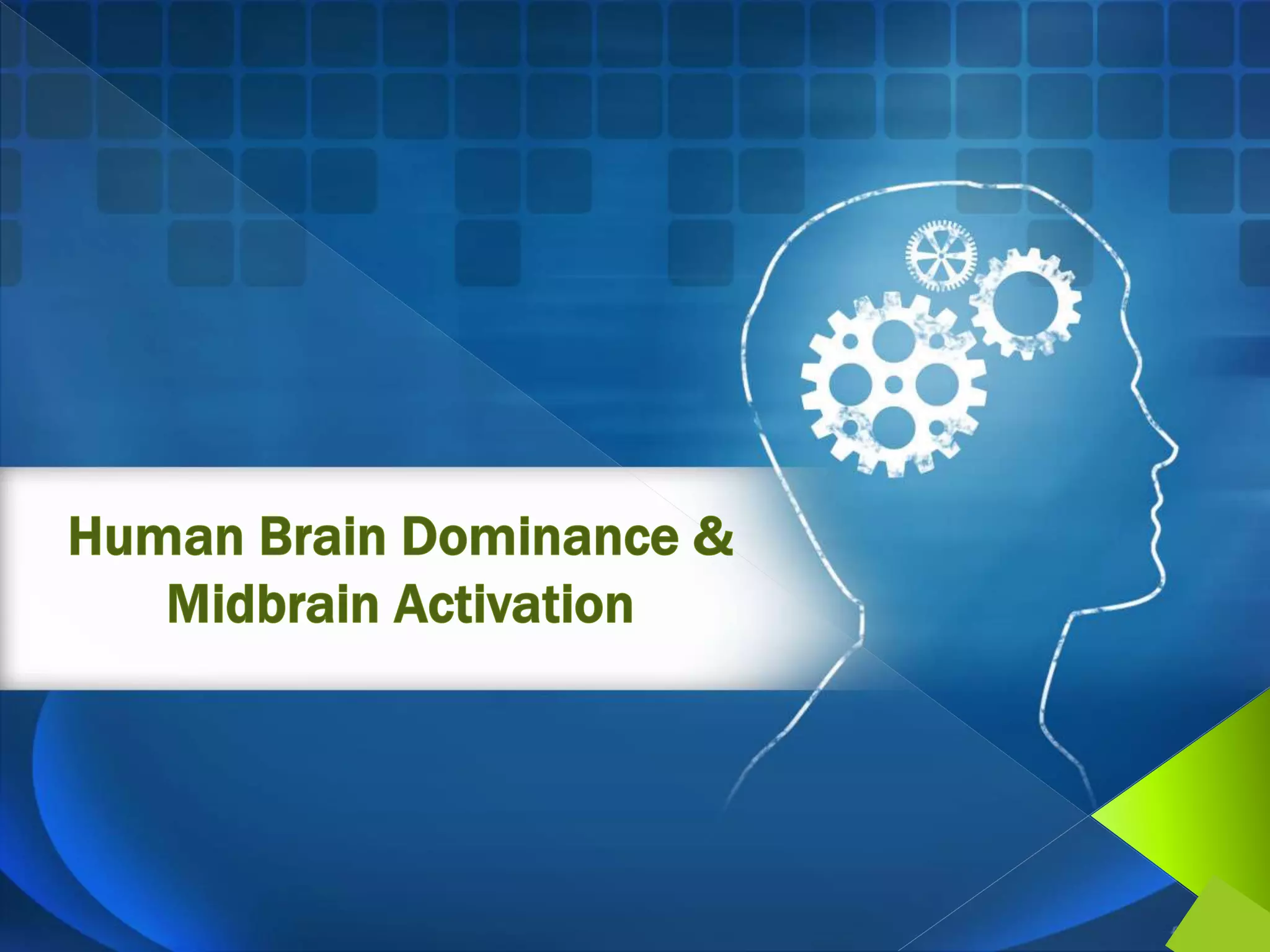 Human brain dominance and mid brain activation | PPTX | Brain and Nervous System Disorders ...