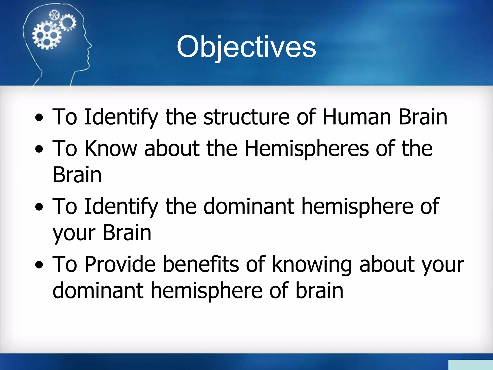 Human brain dominance and mid brain activation | PPTX | Brain and ...