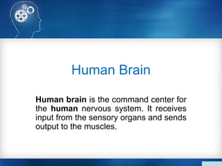 Human brain dominance and mid brain activation | PPTX