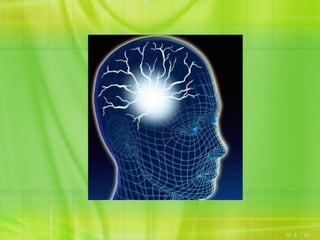 Human Brain: Learning and Re Learning | PPT | Brain and Nervous System ...