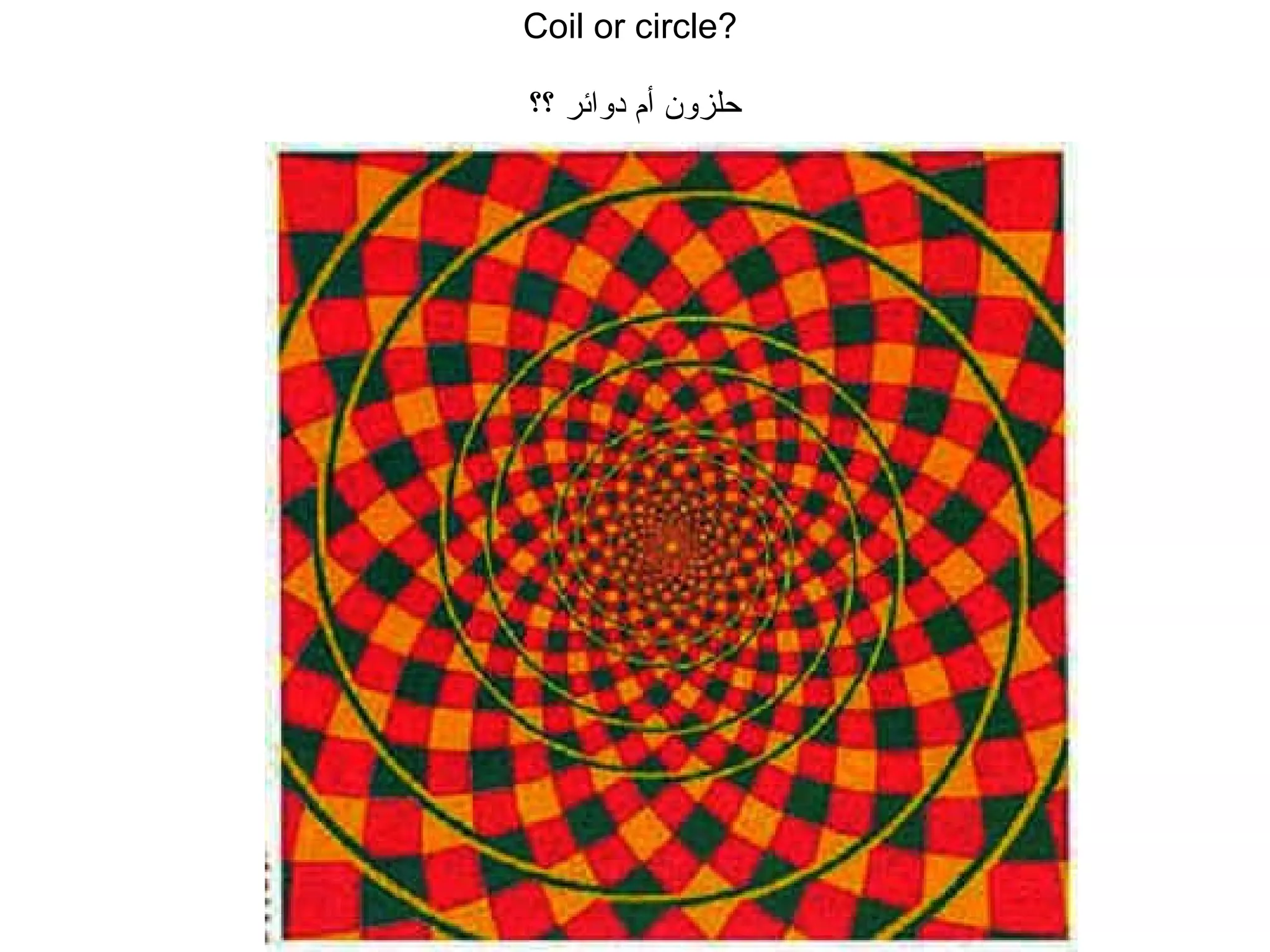 Human brainmiracles | PPT