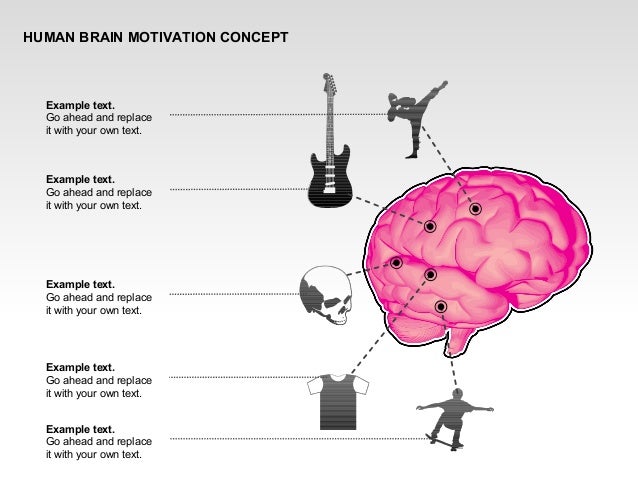 Human Brain Motivation Diagrams